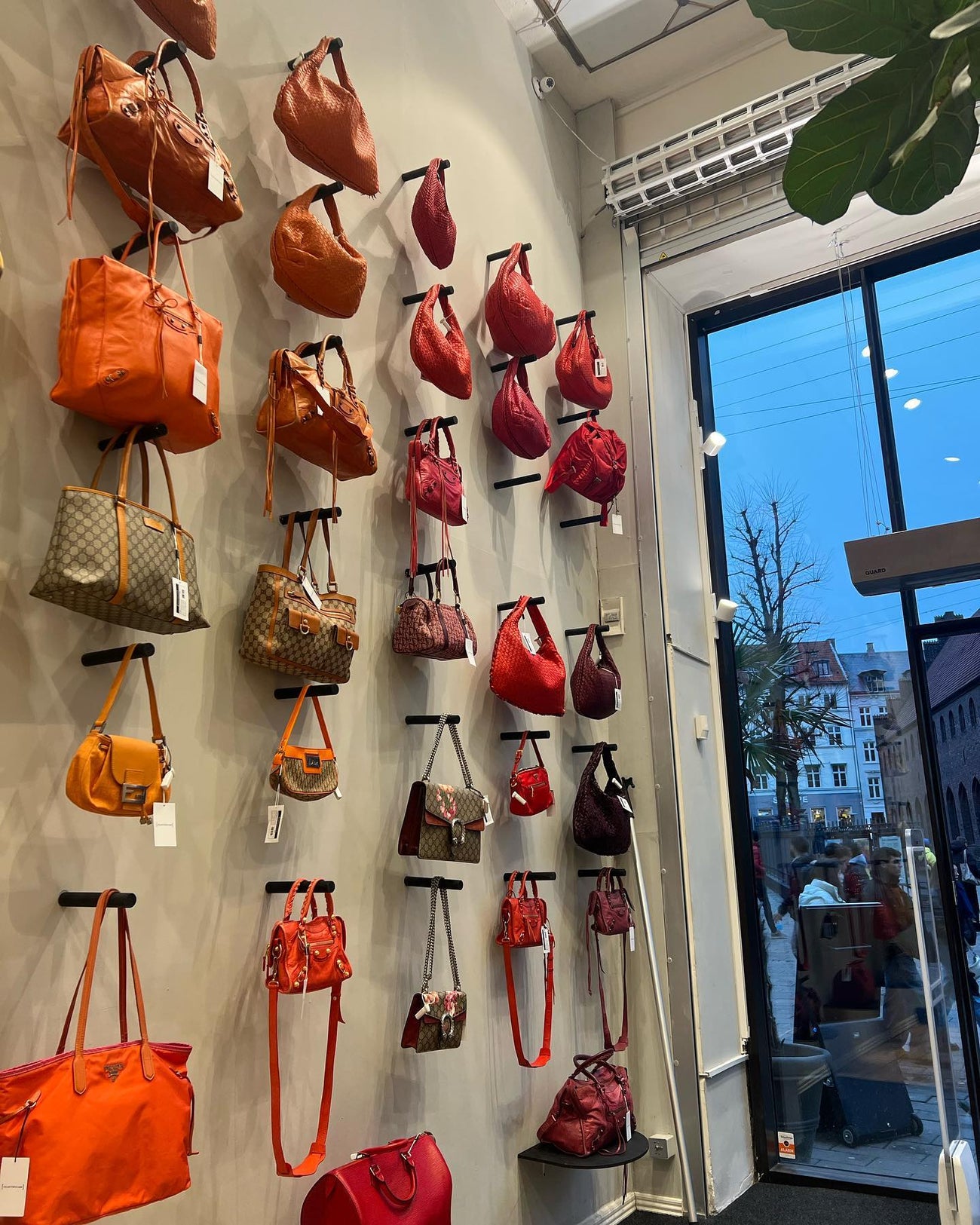 | Shop Designer – Collector's Cage